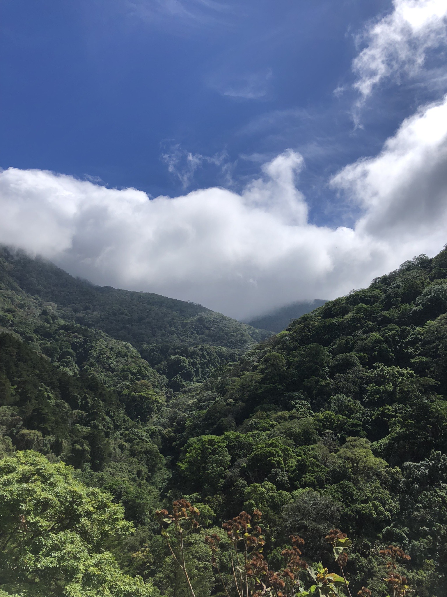 Ein Abenteuer in Costa Rica: Leben und Arbeiten im Naturhotel der Berge ...